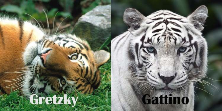 TJH_Gretsky_Gattino – Jilly James