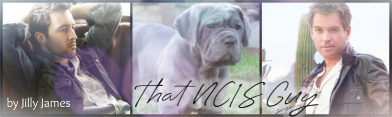 That NCIS Guy – Jilly James